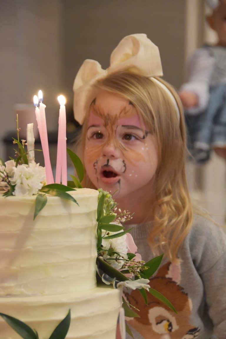 Bambi’s Woodland Wonderland Party – Dixie Delights