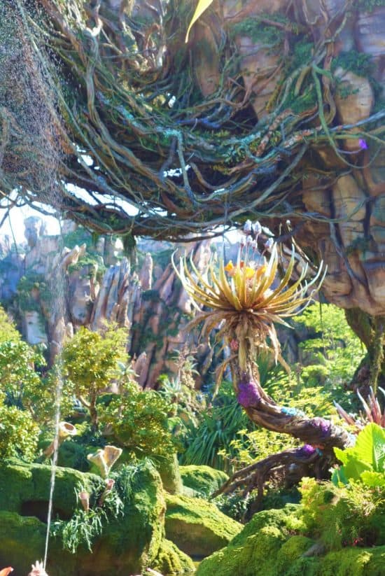 Magical Monday {8 Great Things To See In Pandora – The World of Avatar ...