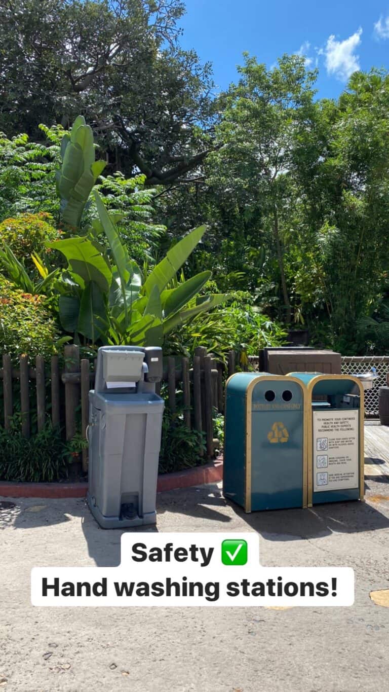 Magic is Here {Everything You Need To Know About Returning to Disney ...