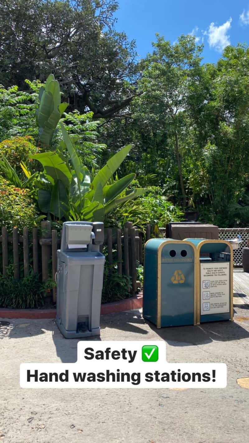 Magic is Here {Everything You Need To Know About Returning to Disney ...