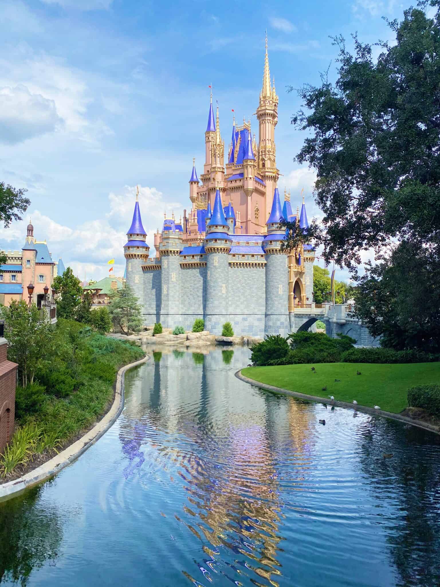 See and Do It All With A Private Disney VIP Tour – Dixie Delights