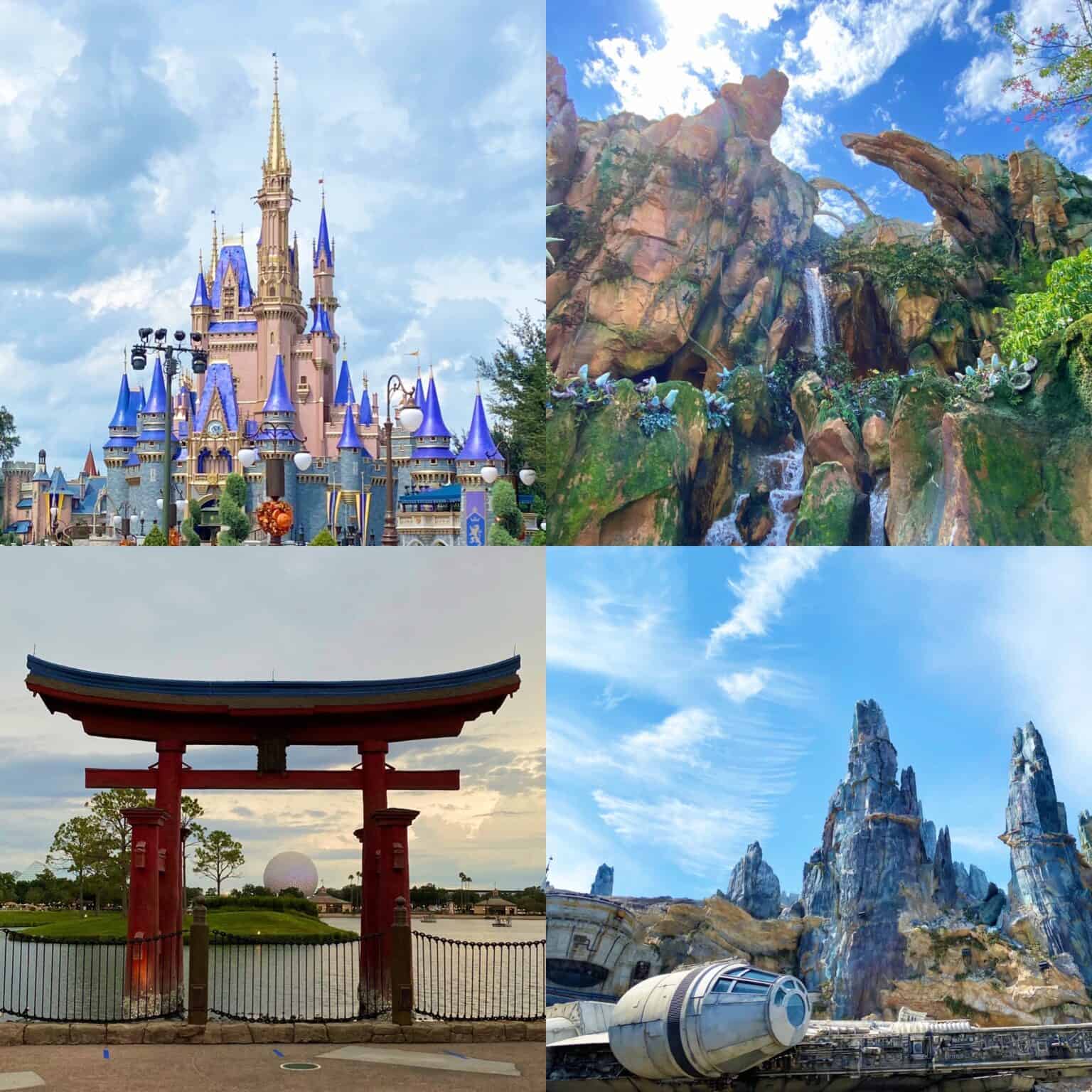 See and Do It All With A Private Disney VIP Tour – Dixie Delights
