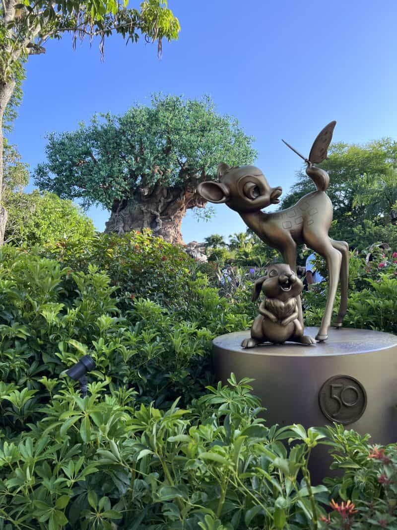 Caring for Giants in Disney’s Animal Kingdom – Dixie Delights