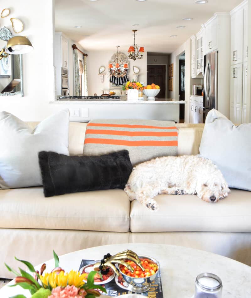 Haunted Halloween Home Tour 2022 {Den} – Dixie Delights