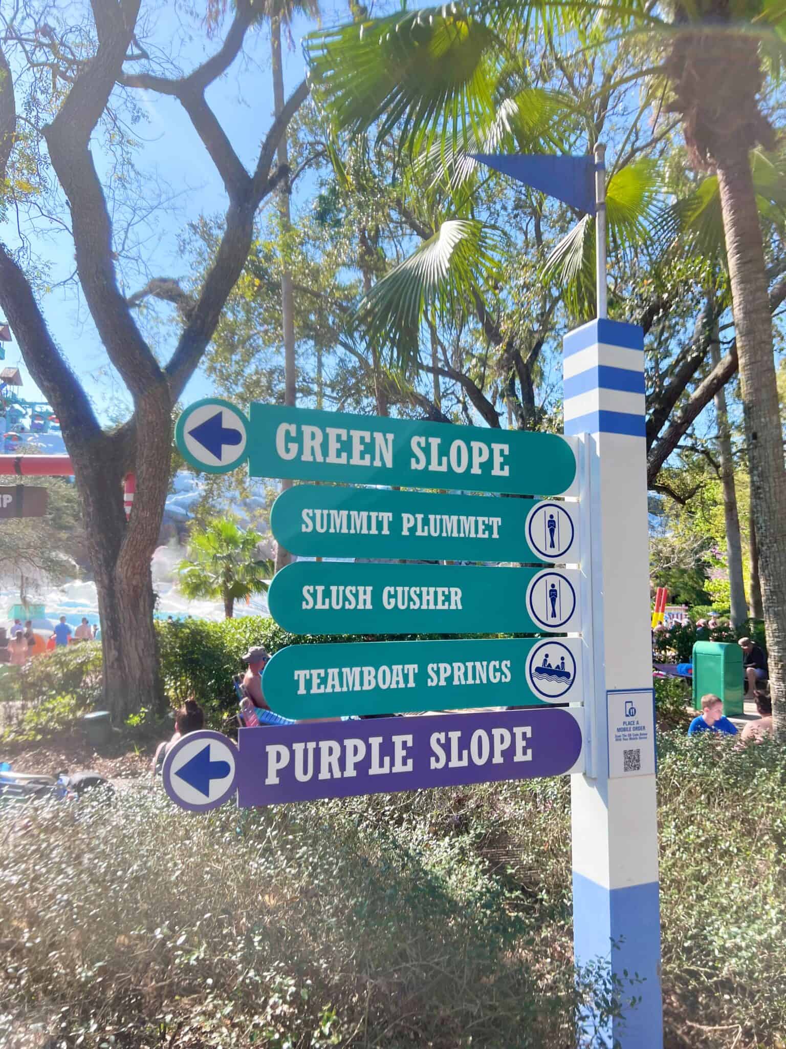 Walt Disney World’s Blizzard Beach Water Park – Dixie Delights