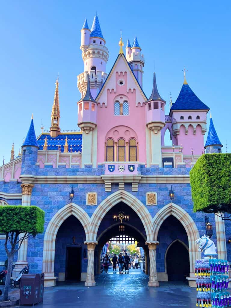 Disneyland Theme Park – Dixie Delights