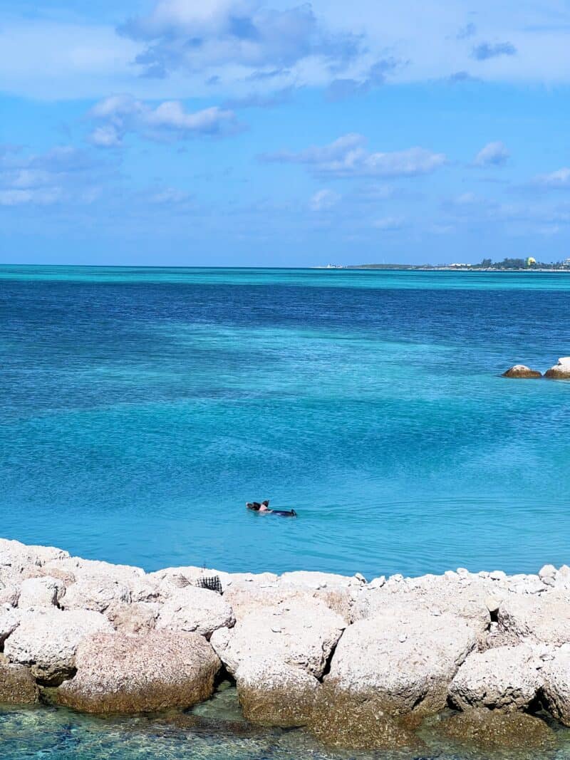 Royal Caribbean {Perfect Day at Coco Cay & Swimming with Pigs Adventure ...
