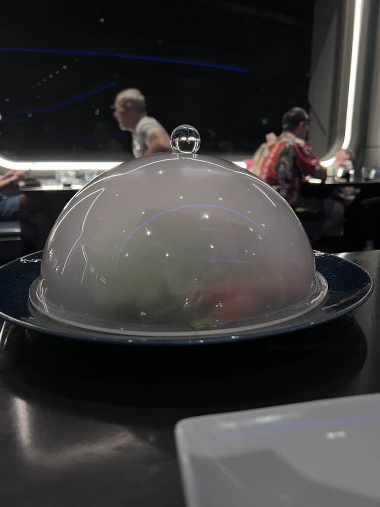 Space 220 Restaurant in Epcot {Full Review of Lunch, Dinner & Lounge ...
