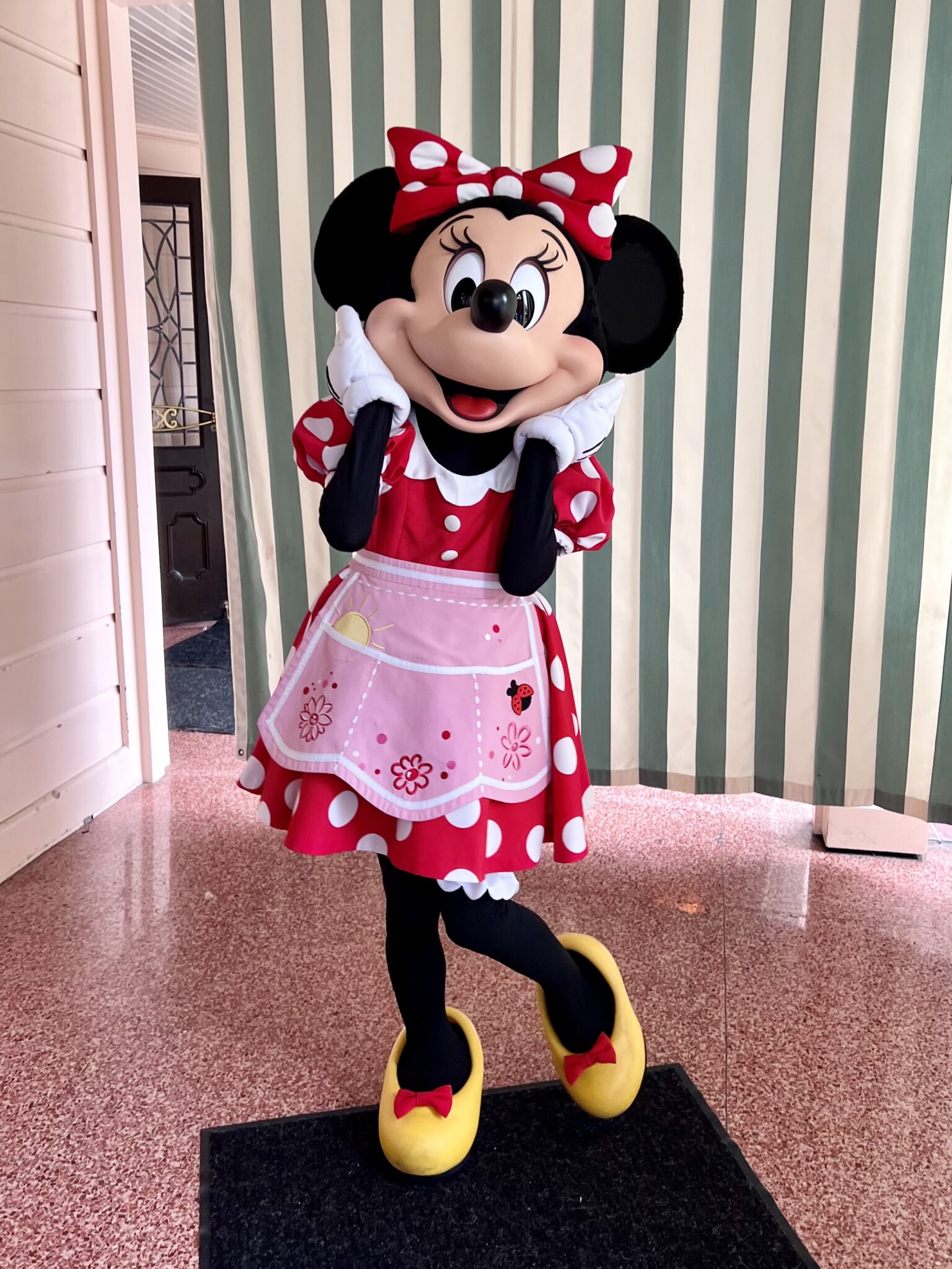 Minnie & Friends – Breakfast in the Park at Plaza Inn in Disneyland ...