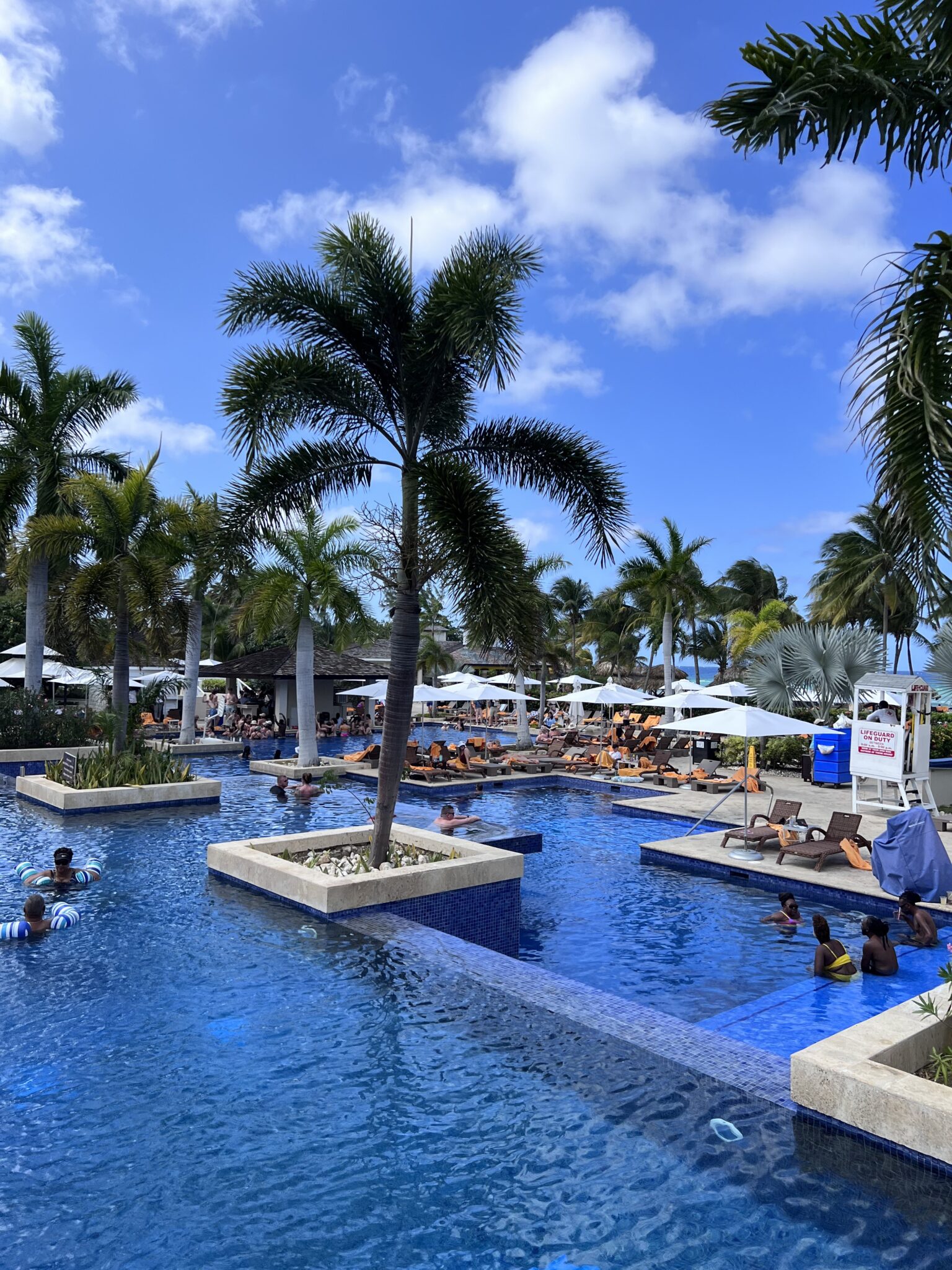 Celebrating the Class of 2024 {Hyatt Rose Hall Senior Spring Break ...