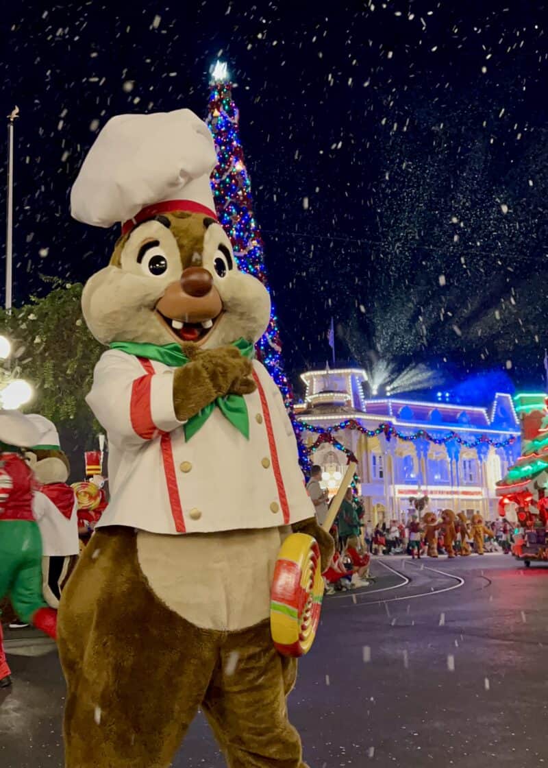Mickey’s Very Merry Christmas Party in Magic Kingdom – Dixie Delights